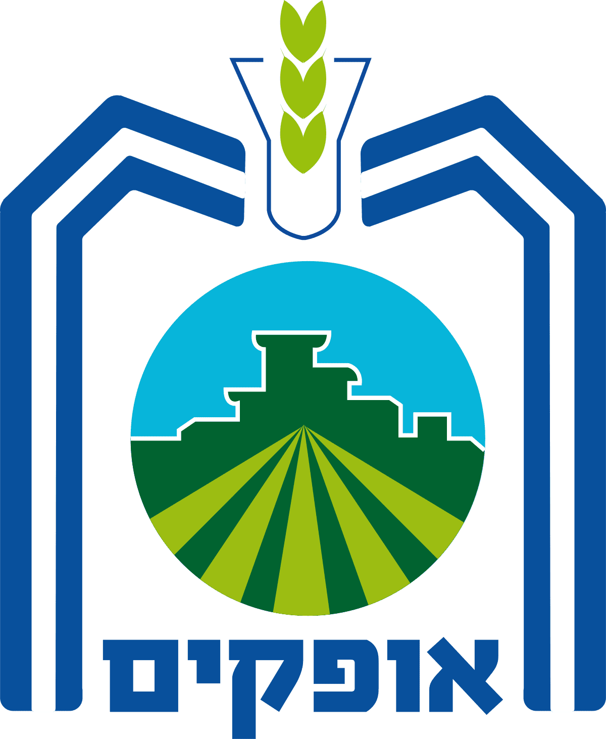 The City of Ofakim - Shnat Sherut 50 Plus